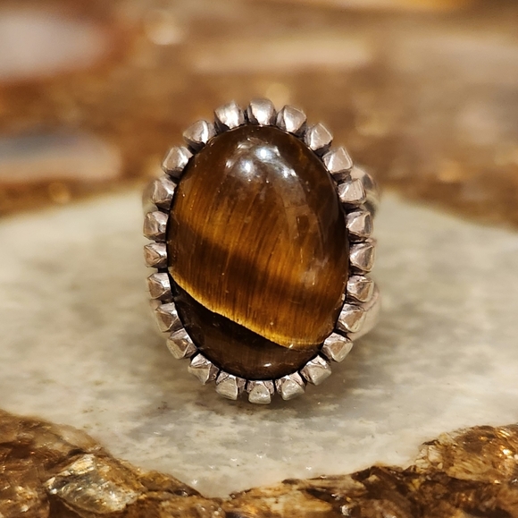 Navajo | Jewelry | Signed Native American Navajo Sterling Silver Tigers ...